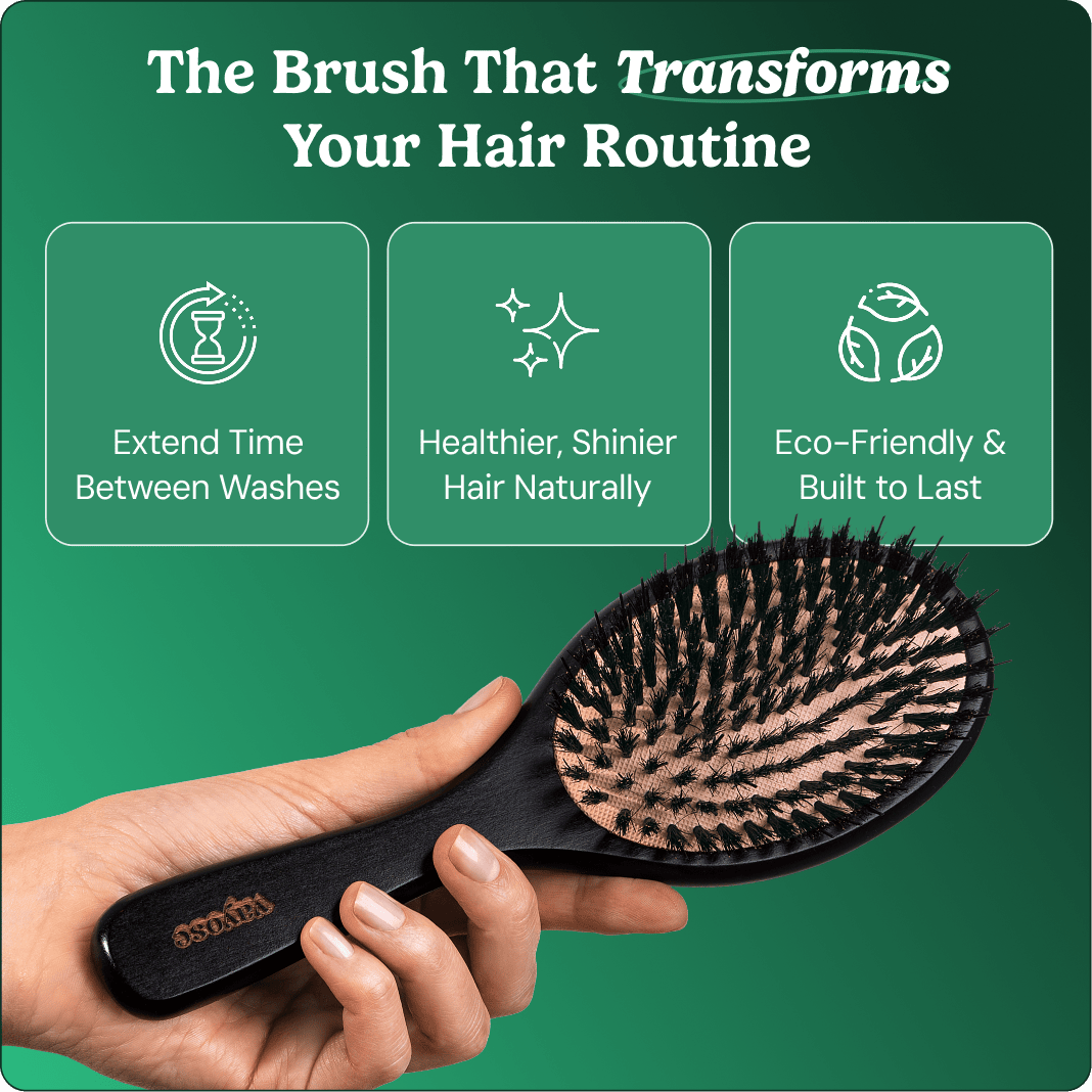 No Shampoo Hair Brush – Vayose